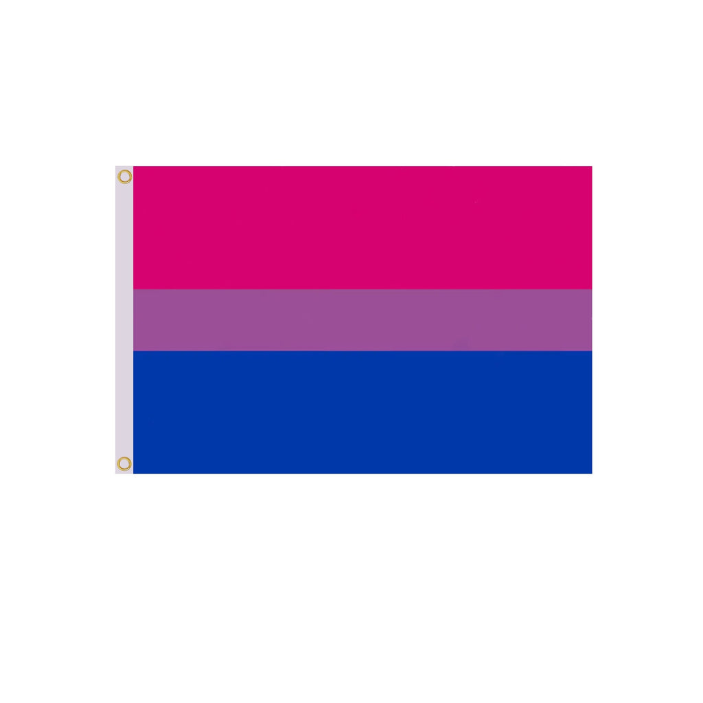 3 Feet by 5 Feet Bisexual Nylon PRIDE Flag, Pride Parade Flags – We are Pride