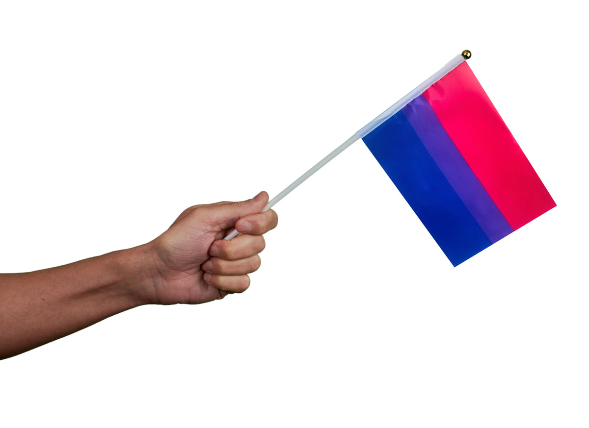 Small Bisexual Flags on a Stick Wholesale, Bulk Gay Pride Parade Flags ...