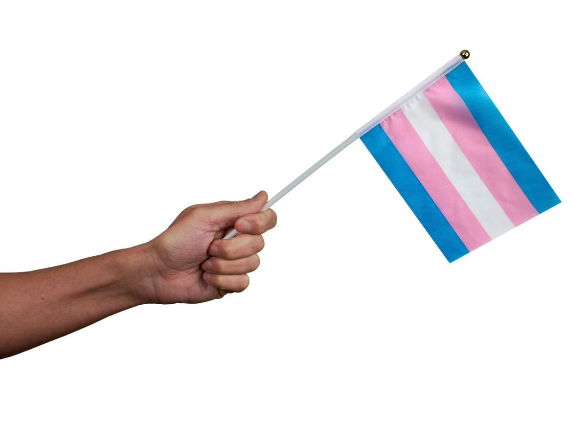 Small Transgender Flags on a Stick Wholesale, Bulk Gay Pride Parade ...