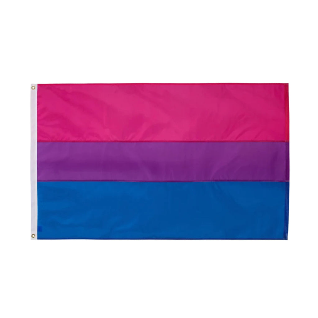 3 Feet by 5 Feet Bisexual Nylon PRIDE Flag, Pride Parade Flags – We are ...