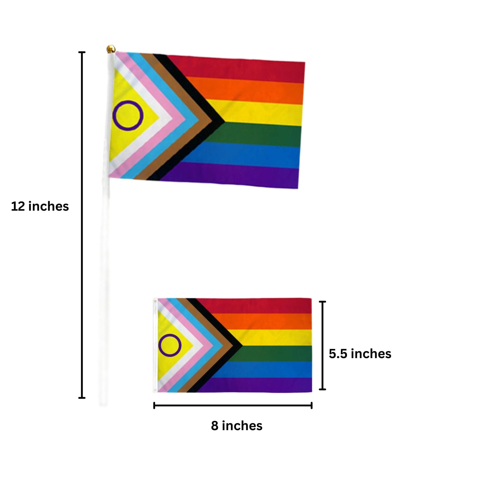 Daniel Quasar Intersex-Inclusive Progress Pride Flags on a Stick, Gay ...