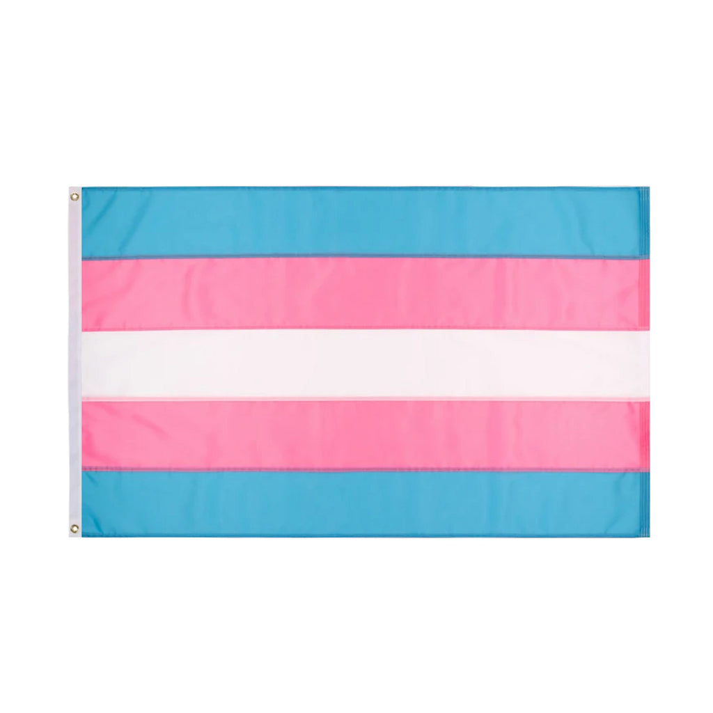 3 Feet by 5 Feet Transgender Nylon PRIDE Flag, Pride Parade Flags – We are Pride